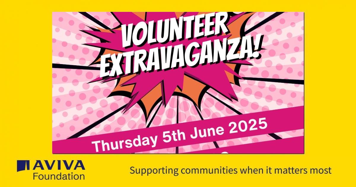 Voluntary Norfolk - Extravaganza volunteer! - a crowdfunding project in ...