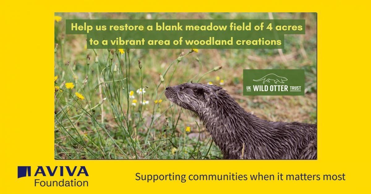 Lee Meadow Rewilding For Nature - a Environment crowdfunding project in ...
