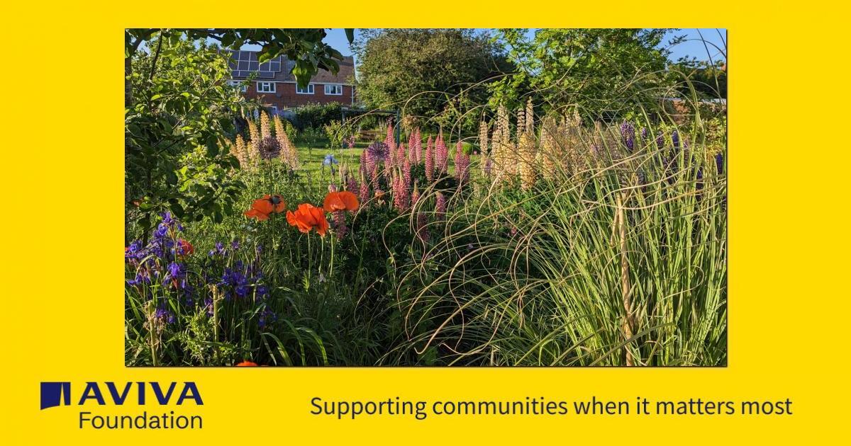 OASIS Community Garden - Wild at Heart - a Food and Drink crowdfunding ...