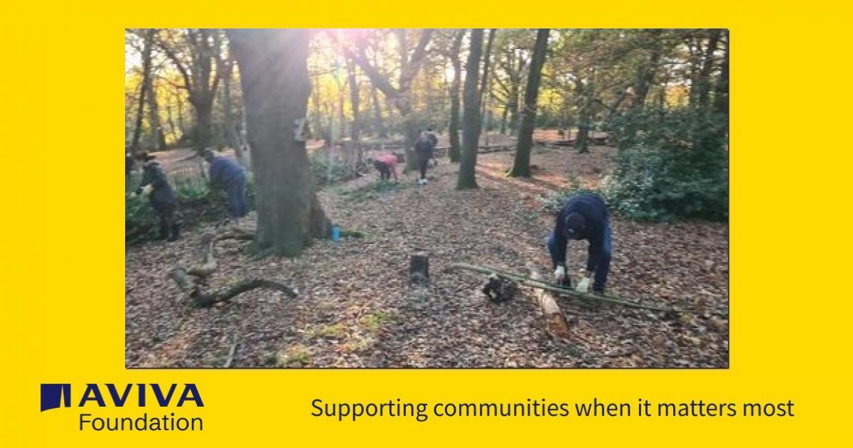 Save your Streatham Rookery Gardens - a Community crowdfunding project ...